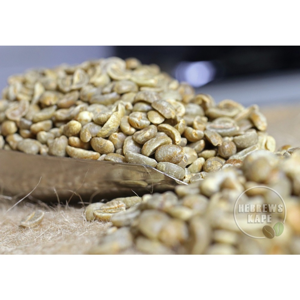 1KG NICARAGUA SHG ARABICA GREENBEANS (INTERNATIONAL SINGLE ORIGIN) | Shopee Philippines