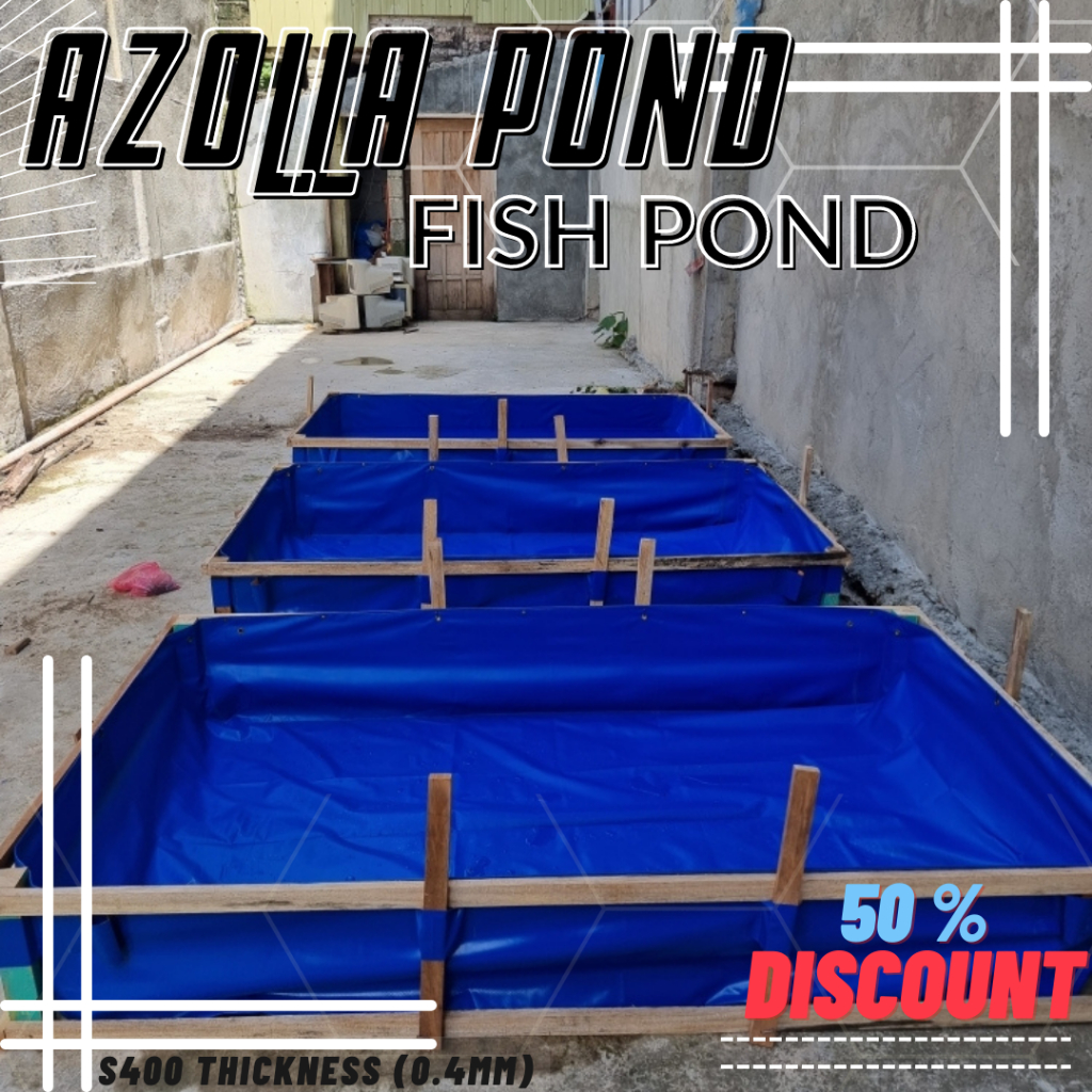 1PC TRAPOND AZOLLA POND FISH POND AZOLLA BED POND AZOLLABED TEMPORARY ...