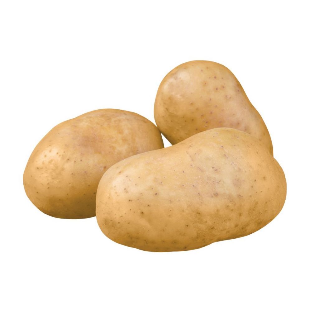 Benguet Patatas cooking essential and baking ingredient Marble to Jumbo ...
