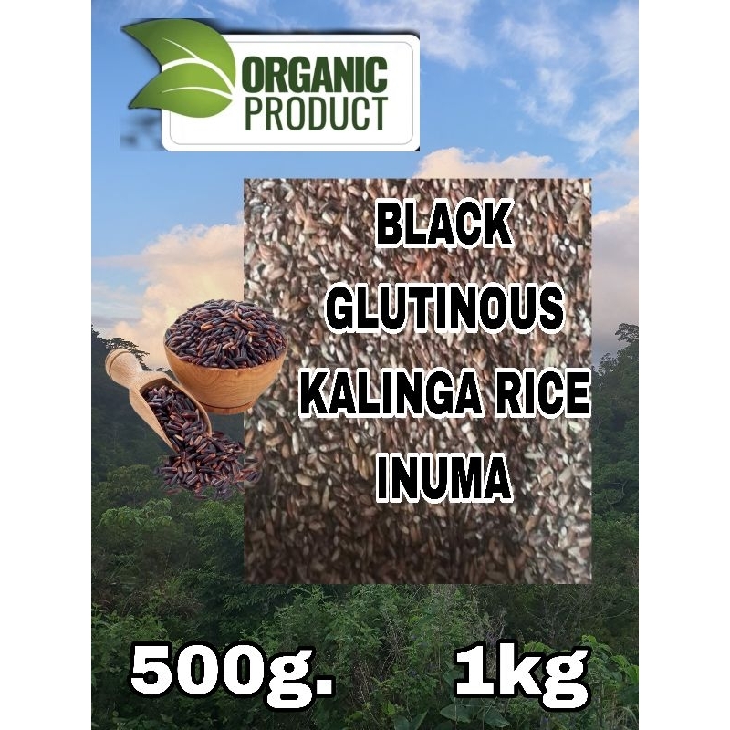 ORGANIC MALAGKIT BLACK GLUTINOUS RICE, KALINGA PROVINCE | Shopee ...