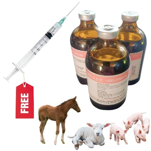 1PIECE VITAMIN ADE + SELENIUM WITH FREE SYRINGE | Shopee Philippines