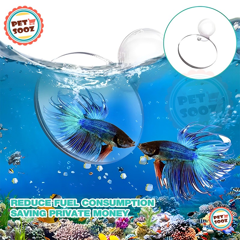 Fish training mirror Acrylic Aquarium Betta mirror Fish Tank Floating ...