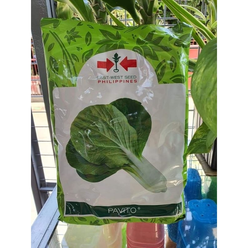 1 Pack Pechay F1 Seeds (Pavito) | Shopee Philippines
