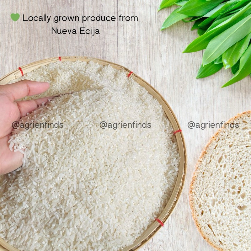 Regular Milled Rice (1kg) | Shopee Philippines