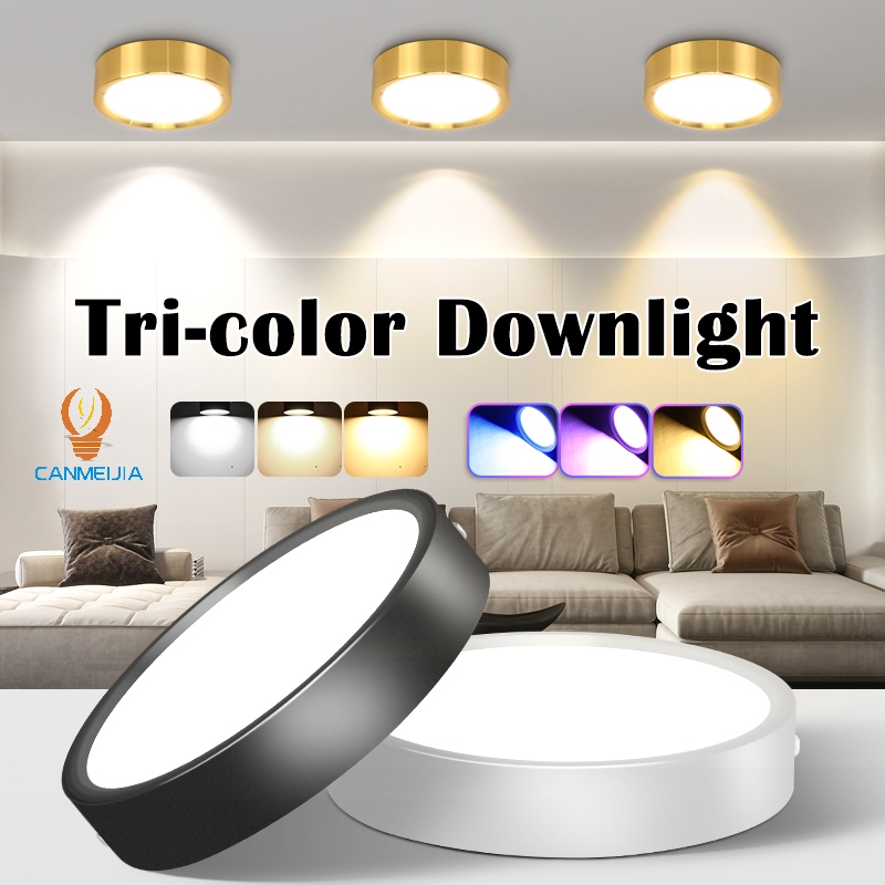 Tri color Pin Lights Ceiling Lamp Led Surface Mounted Downlight ...