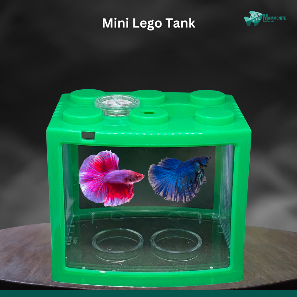 Aquarium Mini Betta Tank Stackable Colorful Clear Container | Shopee ...