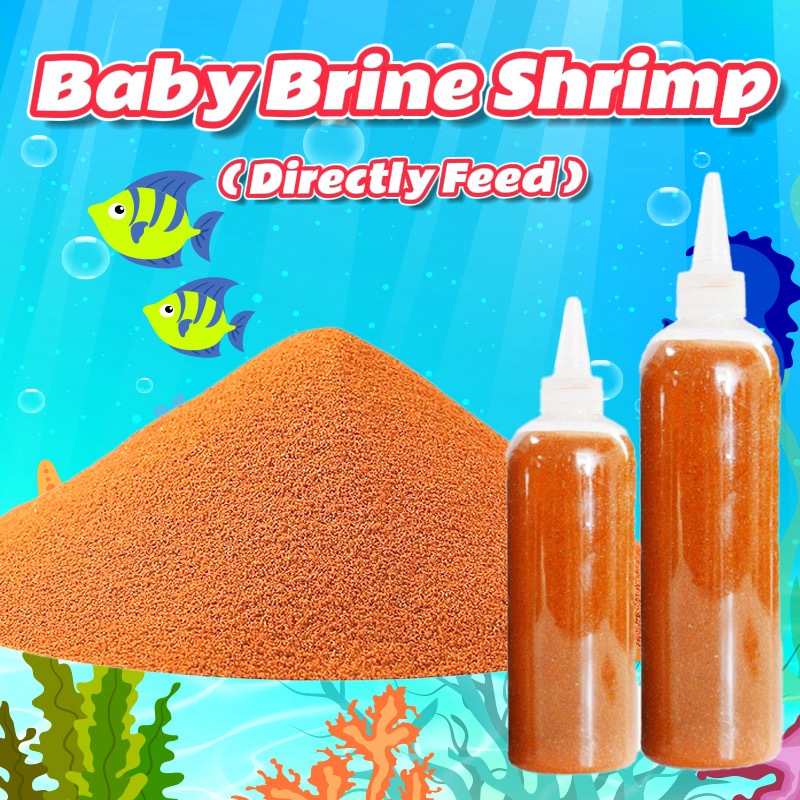 100g/50g Decapsulated Baby Brine Shrimp BBS (No Need to Hatch) Fish ...