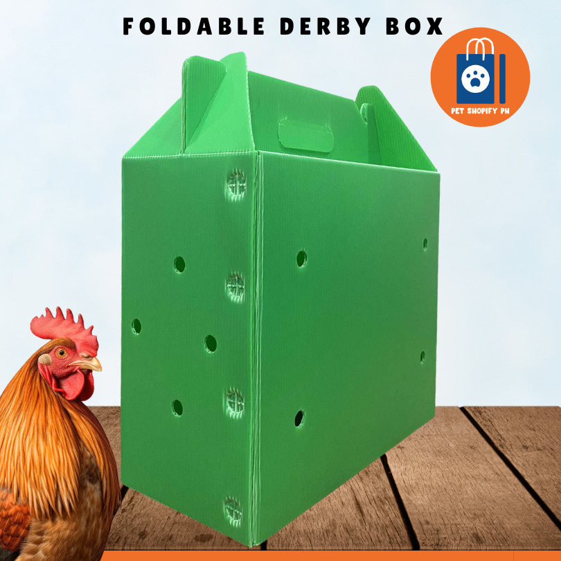 Premium Collapsible Folding Derby Box Single Chicken Travel Chicken ...