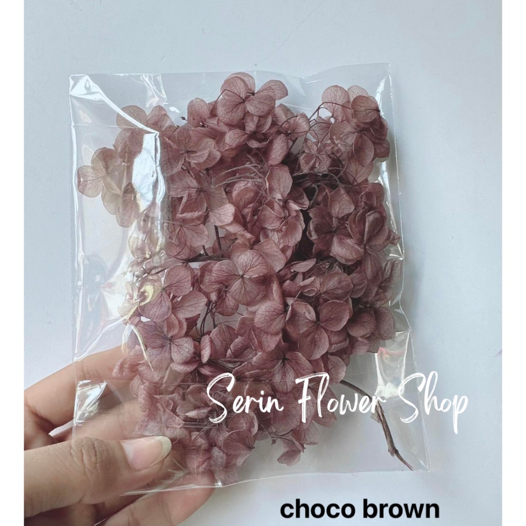 Real Dried flowers Preserved Hydrangea Heads,Dried flower Eternal ...