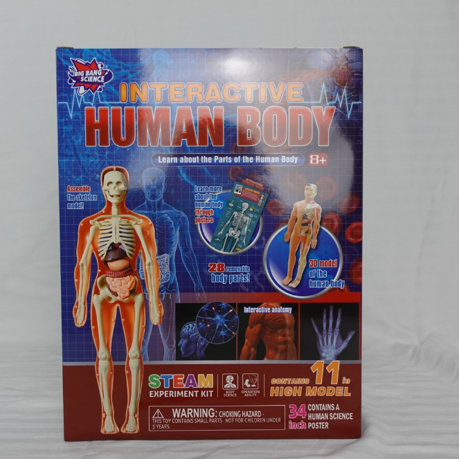 INTERACTIVE HUMAN BODY BBS-1011 STEAM STEM SCIENCE EDUCATIONAL TOYS ...