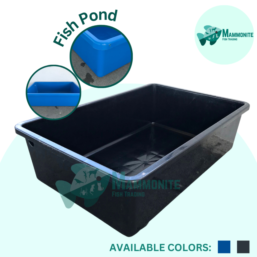 Plastic Fish Pond / Plastic Fish Tub / L1061 / L1060 / L1059 / L1058 ...
