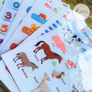 Insects Chart Laminated Wall Poster A4 size for Kids Educational ...