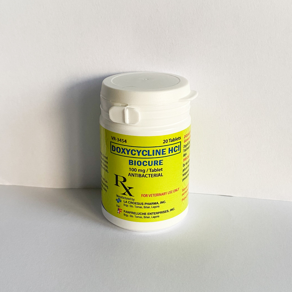 Biocure Doxycyxline HCI Tablets for Dogs and Cats | Shopee Philippines