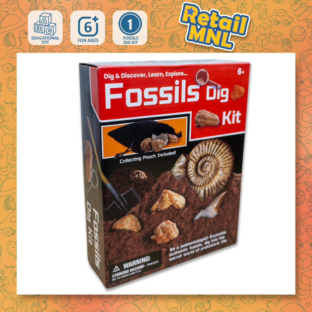 Retailmnl Fossil Dig Kit Gemstones Crystals Digging Kits Mining Tool ...