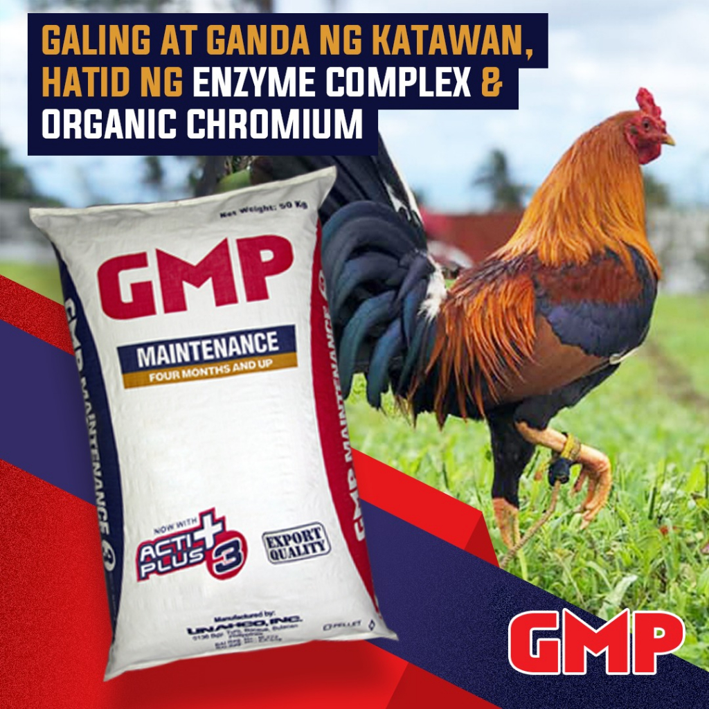 [FCR AGRIVET] GMP Maintenance for Gamefowl Fighting Cocks / Repacked 1kg 2kg 3kg | Shopee ...