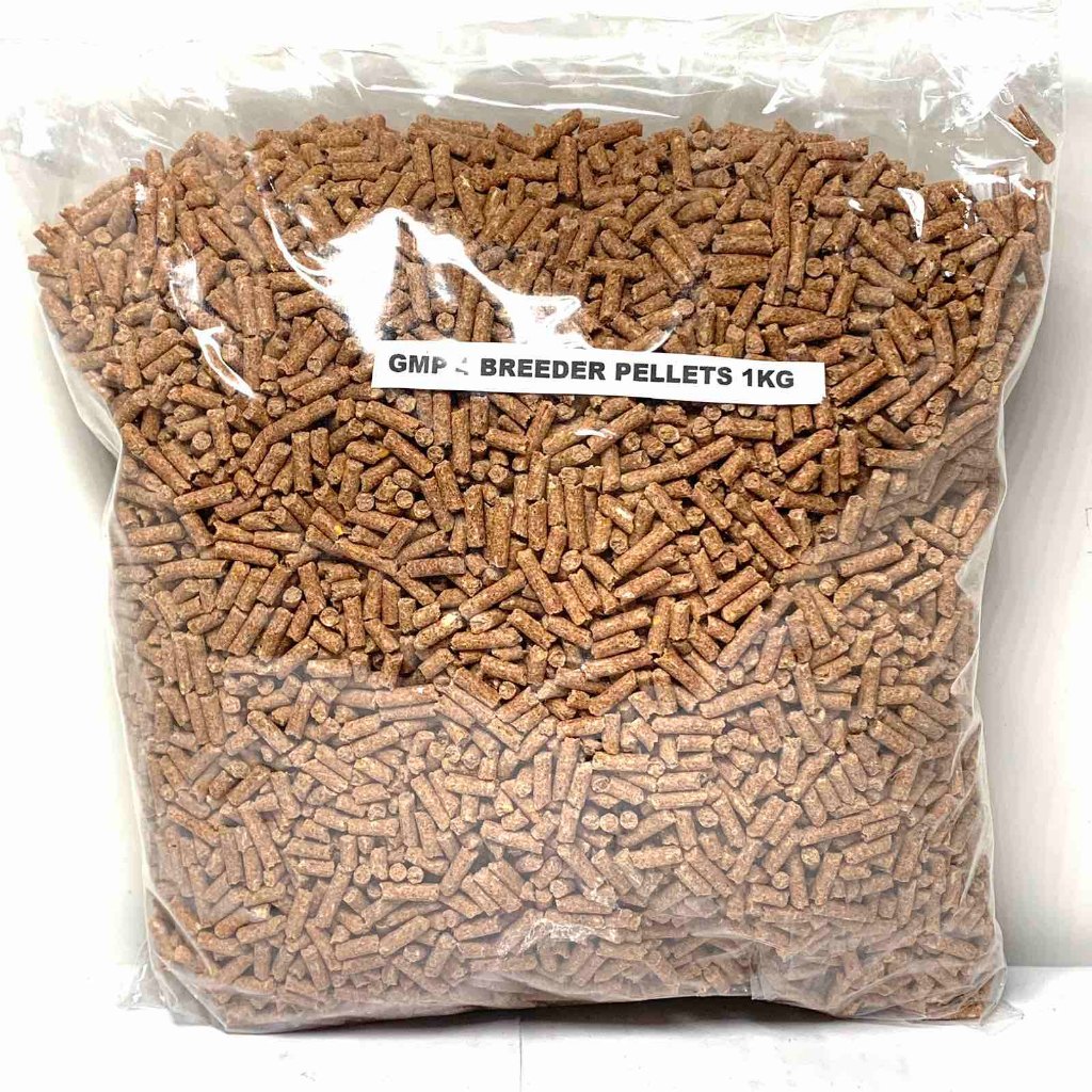 [FCR AGRIVET] 1kg GMP Breeder for Gamefowl Fighting Cocks / Repacked ...