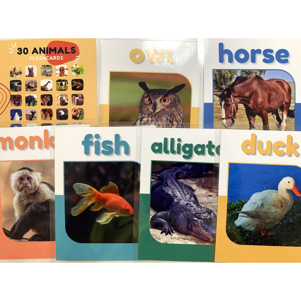 30 Animals Laminated Flashcards | Shopee Philippines