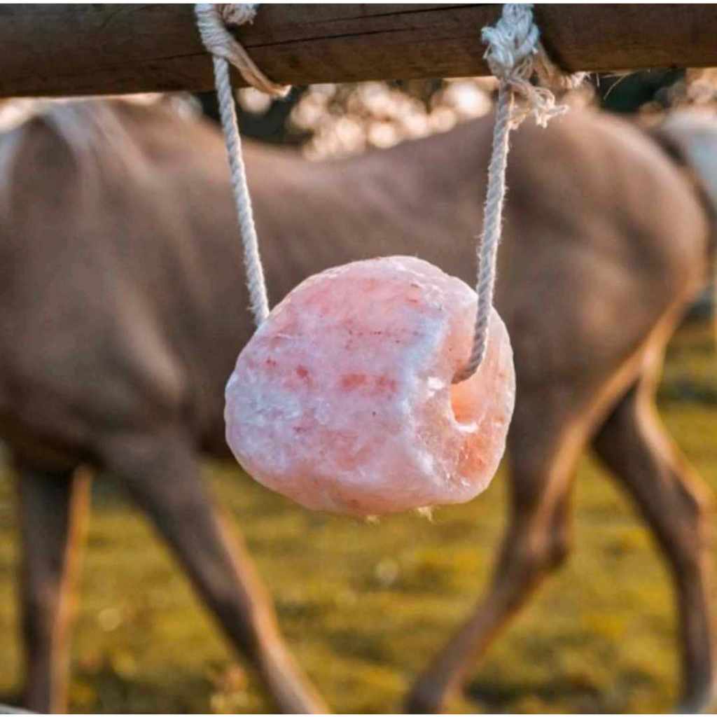 Himalayan Compressed Mineral Block Salt for Farm Animals 2kg | Shopee ...