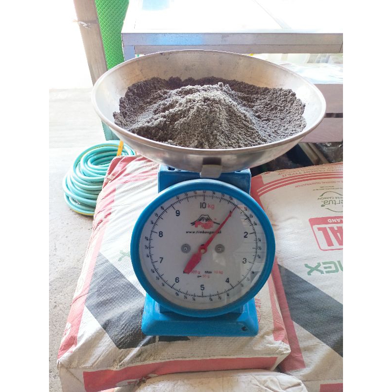 BISTAY / GRAVA 3/4 (SOLD PER KILO) | Shopee Philippines