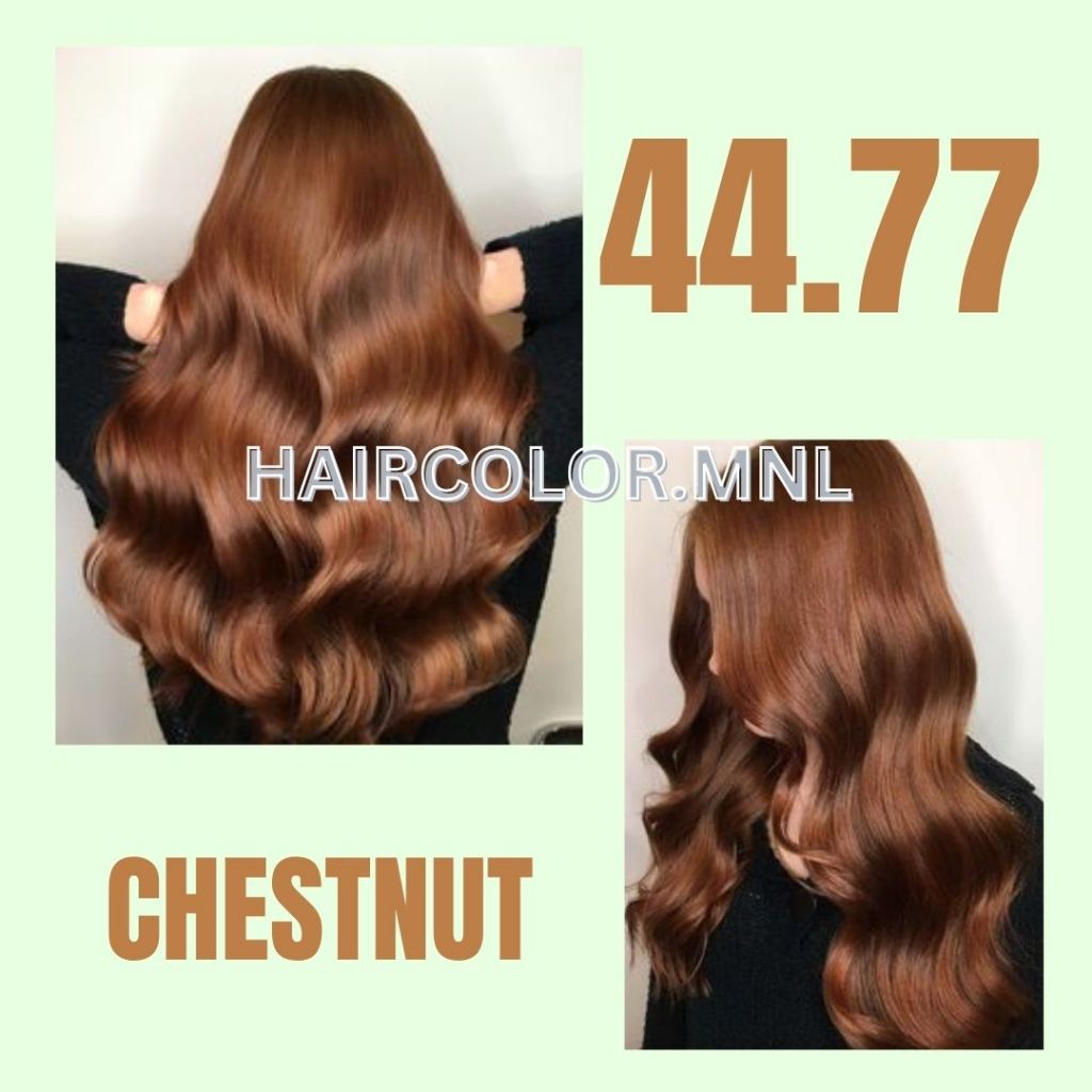 BREMOD 44.77 CHESTNUT HAIR COLOR SET WITH OXIDIZER (100ML) | Shopee ...