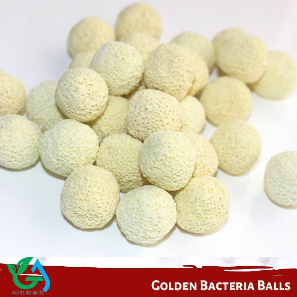 Filter Media for Aquarium[Ceramic, Lava, Porous Rings, Baki Roll ...