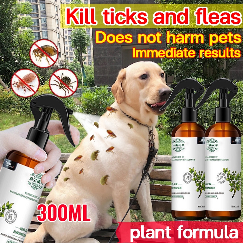 Tick and Flea Spray Flea Remover Anti Tick Flea Garapata Pulgas & Lice ...