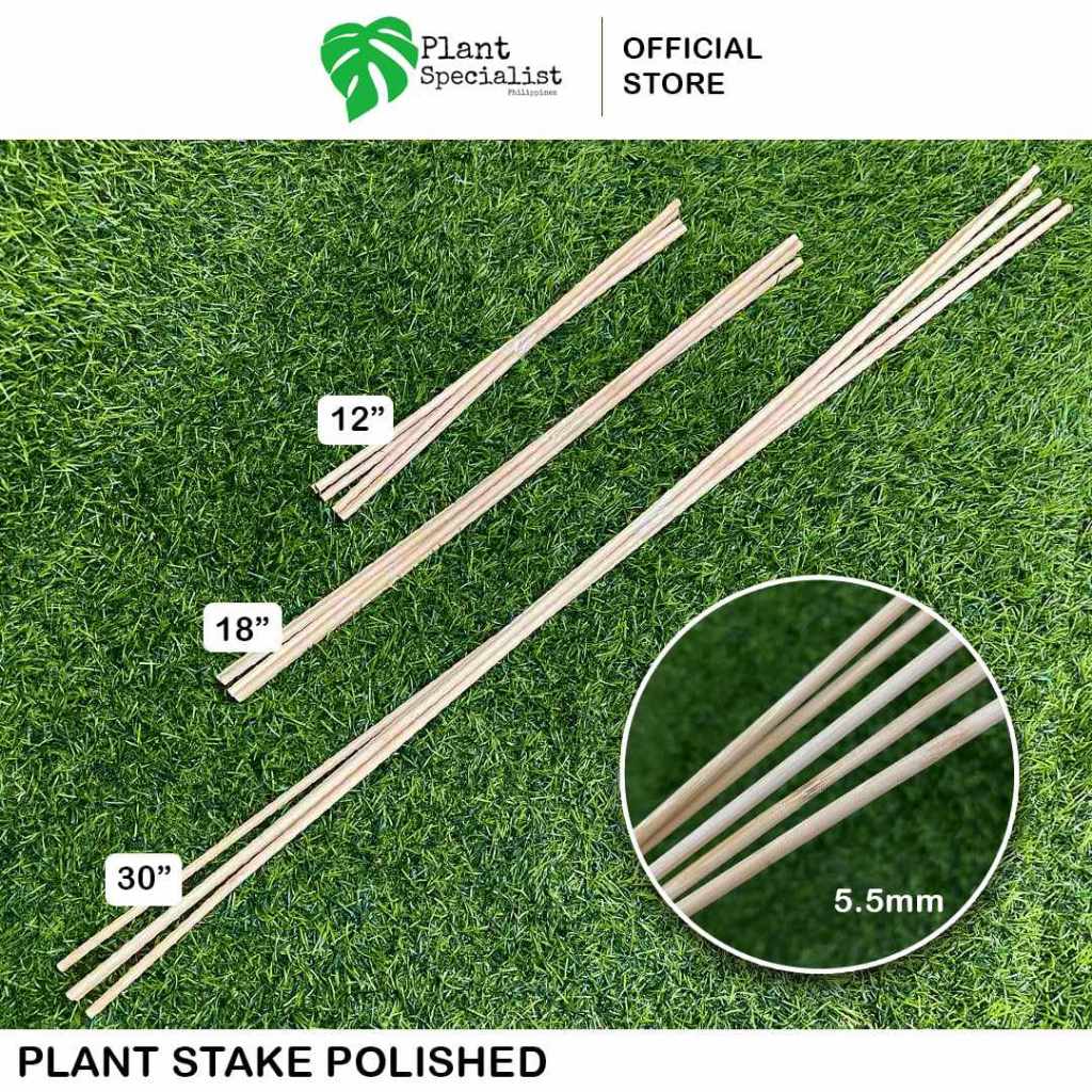 Plant Stake Polished / Bamboo Plant Support Sticks / 1 Bundle 5pcs ...