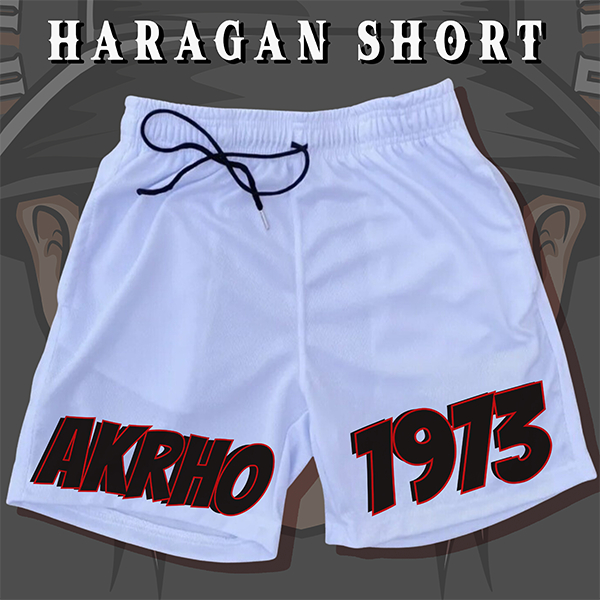 NO.4 SKEPTRON 1973 ALPHA KAPPA RHO FRAT SHORT AKRHO FRATERNITY SHORT ...