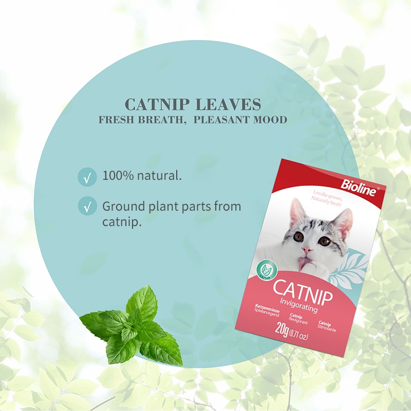 BIOLINE Catnip Spray Leaves for Cats 5g/20g/30g | Shopee Philippines