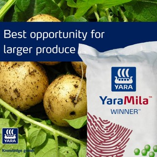 YARA MILA WINNER 1KG (15-9-20 +2MgO +4S +TE) | Shopee Philippines
