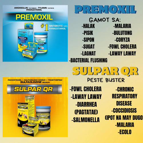 [G&G AGRIVET] SULPAR QR TABLET (10 PCS) + PREMOXIL 550 TABLET (10 PCS ...