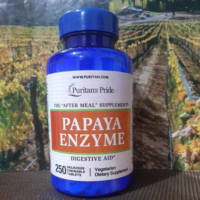 Papaya Enzyme Digestive Aid 250 Chewable tablets EXPIRY: March 2026 ...