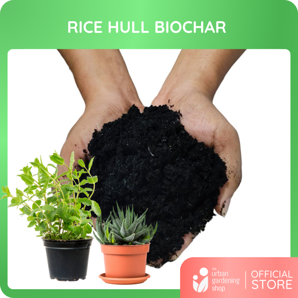 THE URBAN GARDENING SHOP 8-liter RIce Husk Biochar (Carbonized Rice ...