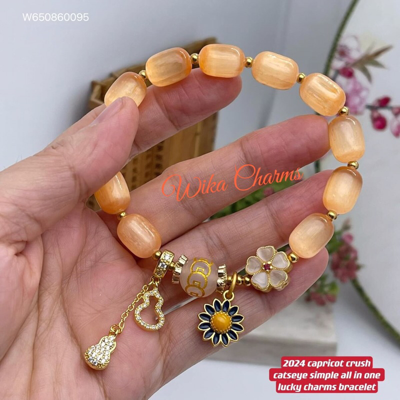 (wikacharms) 2024 apricot crush cats eye simple all in one lucky charms ...