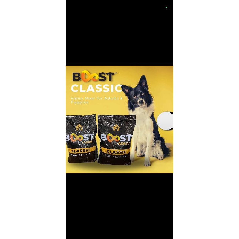 Boost Premium Classic | Shopee Philippines