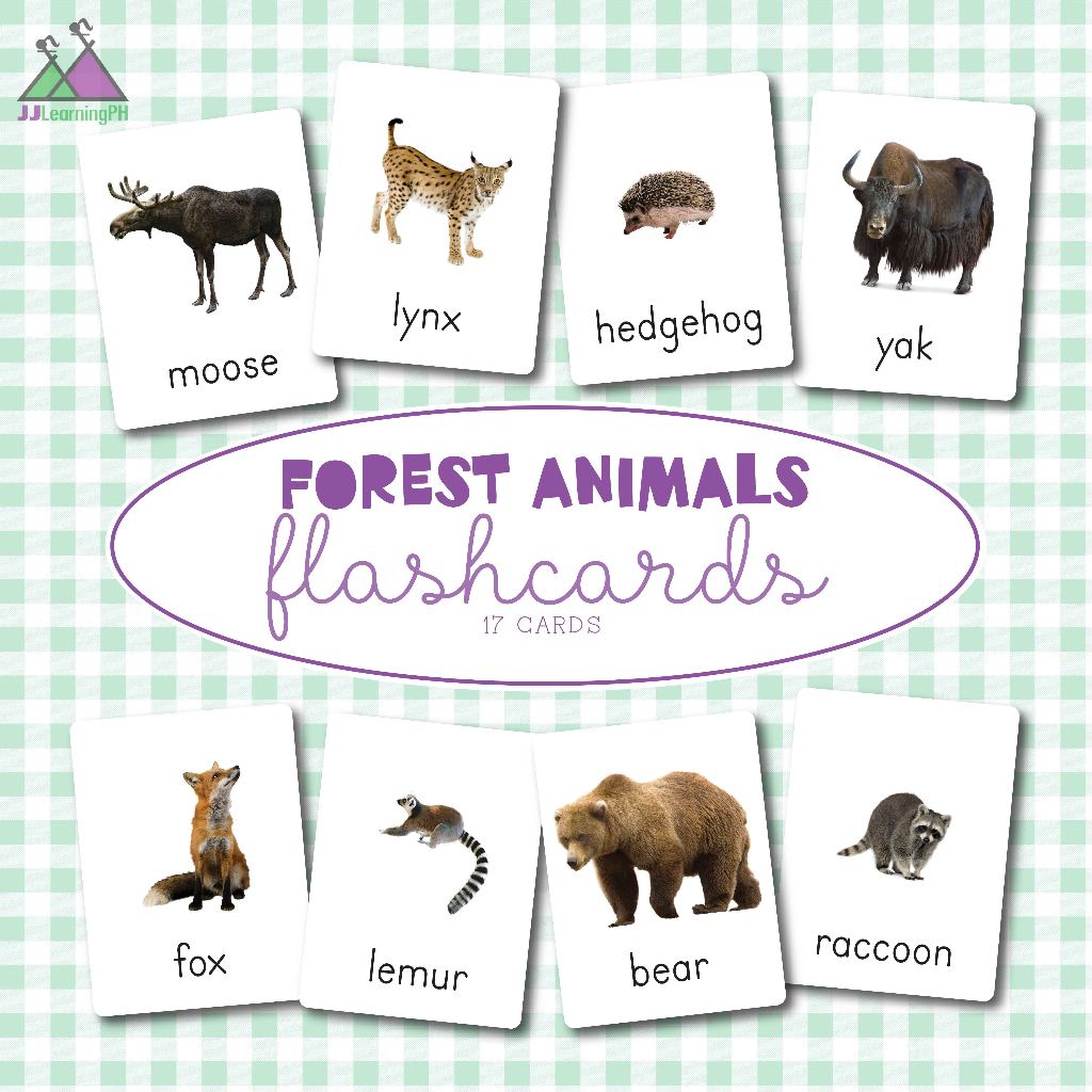 FOREST ANIMALS Flashcards for toddlers and kids | 3R size Laminated ...