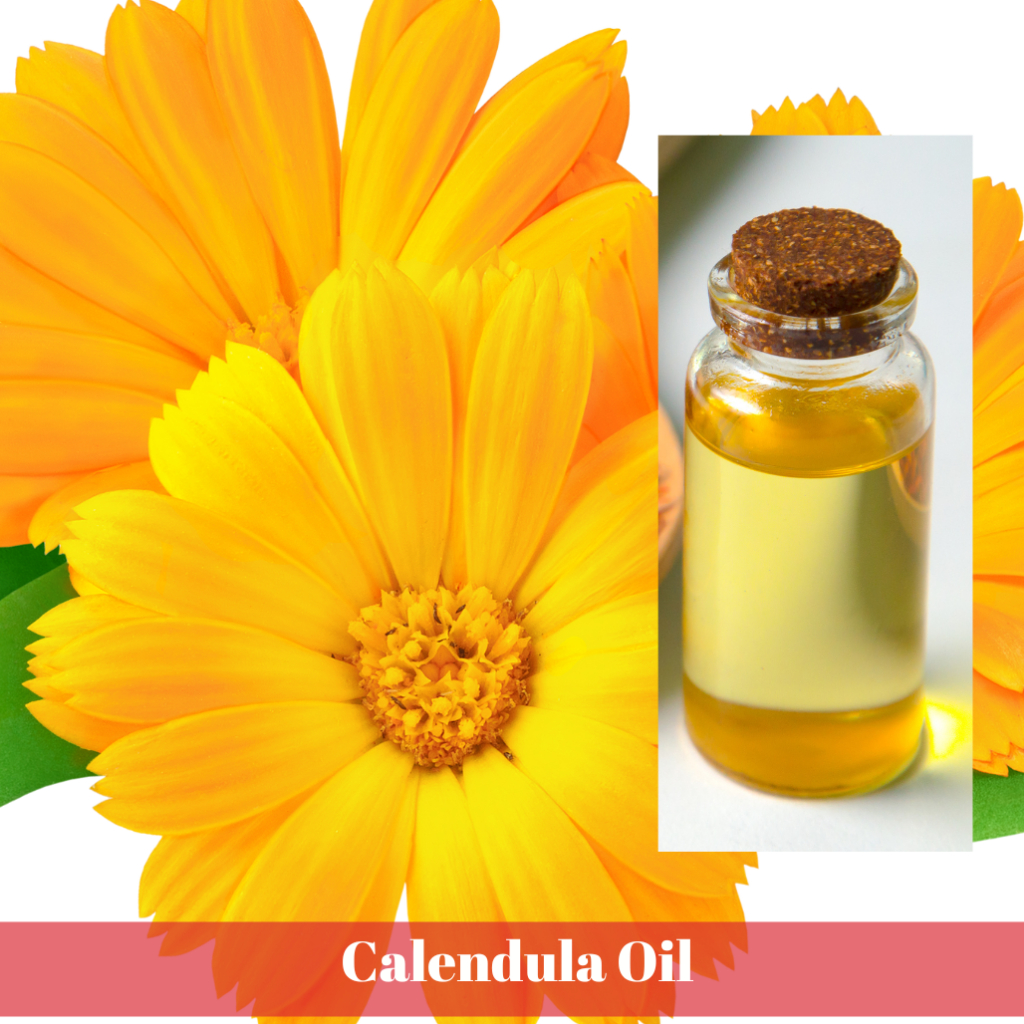 Calendula officinalis Essential oil / Marigold oil | Shopee Philippines