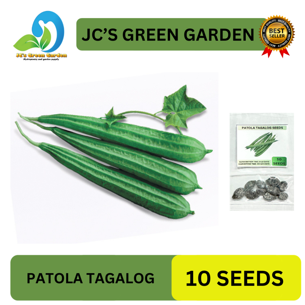 (10 SEEDS) F1 PATOLA TAGALOG SEEDS/PRIMERA VARIETY/HIGH YIELDING/MORE ...
