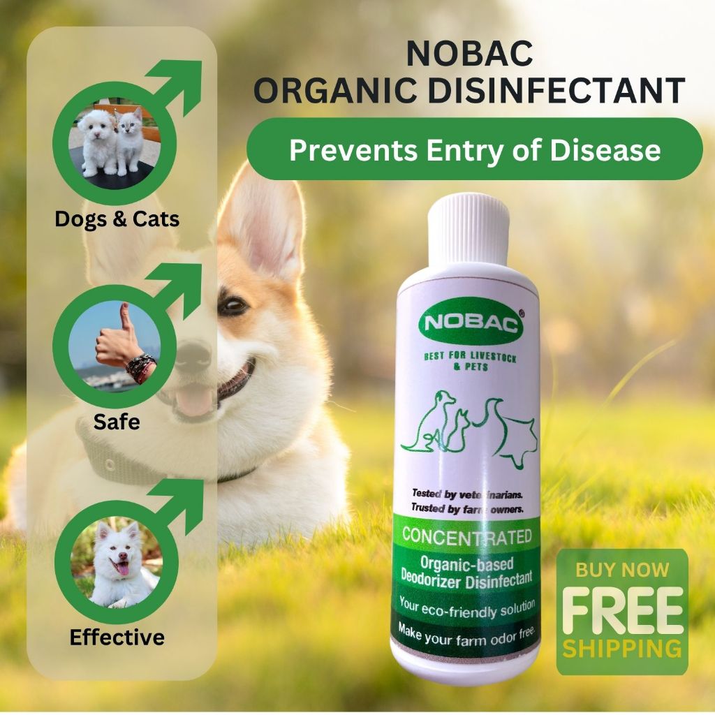 NOBAC Organic Based Deodorizer Disinfectant 120ml | Shopee Philippines