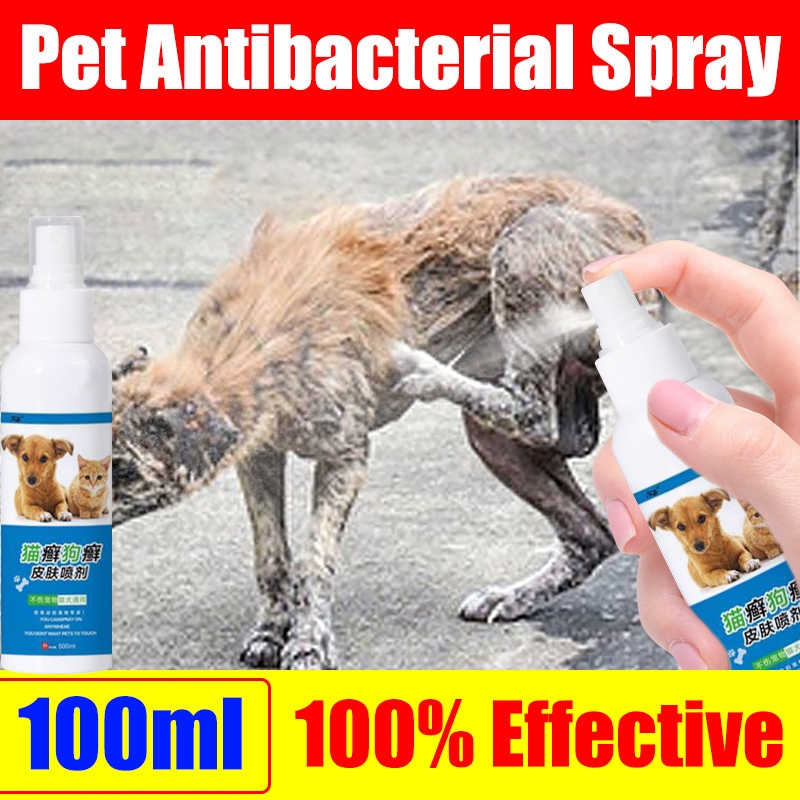 Dog Spray For Skin Disease Galis Ng Aso Gamot Cats Anti fungal Spray ...