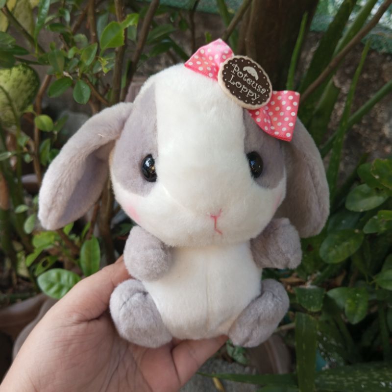 AMUSE Poteusa Loppy Bunny Gray Mini Plush | Shopee Philippines