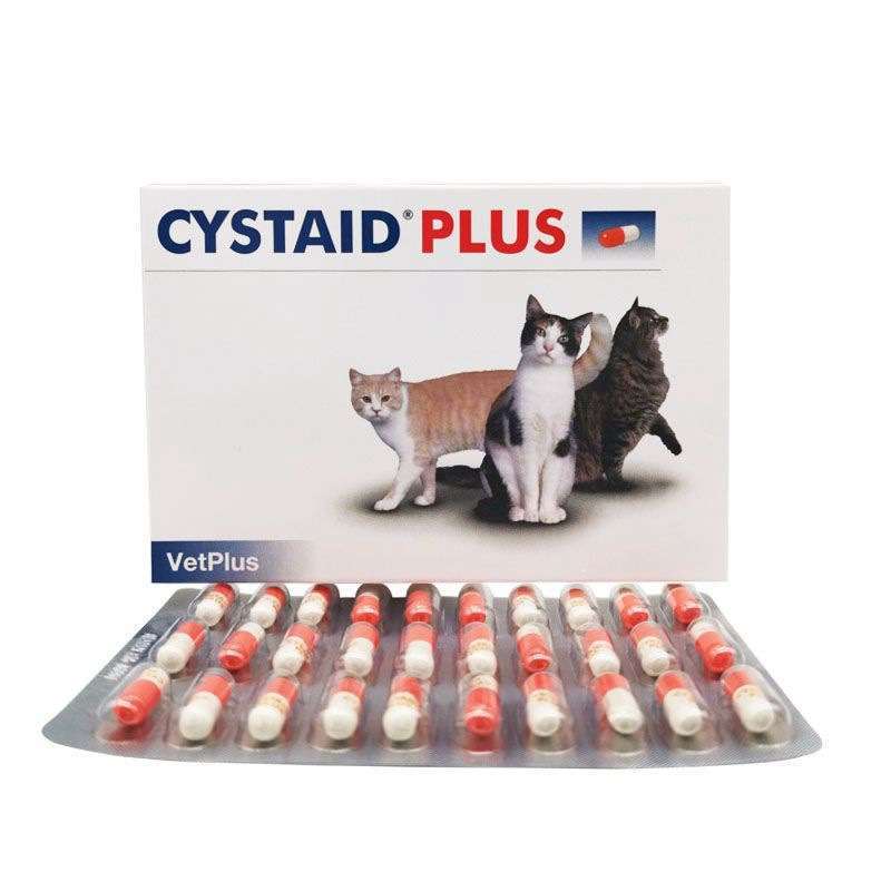 Cystaid Plus for Cats (sold per capsule) | Shopee Philippines