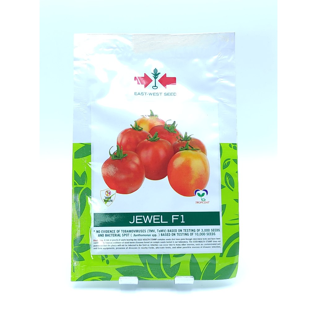 EAST-WEST SEEDS JEWEL F1 HYBRID TOMATO SEEDS ASENSO PACK (500 SEEDS ...