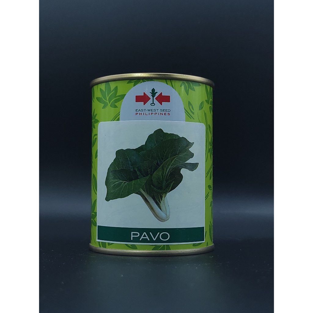 EAST-WEST SEED PAVO OPV PECHAY SEEDS BLACK BEHI TYPE PETCHAY SEEDS CAN ...