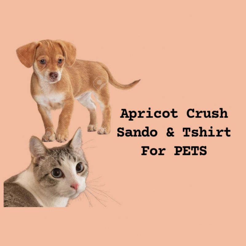 Plain Color Apricot (COLOR OF THE YEAR 2024) PET Sando&Tshirt FOR CAT ...