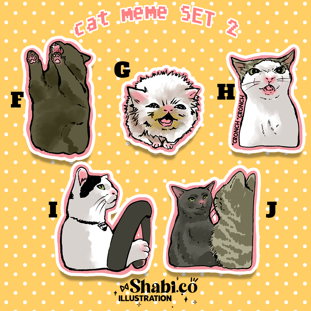 Cat Memes Sticker Set SET and Individual Sticker Vinyl Laminated PART 2 ...