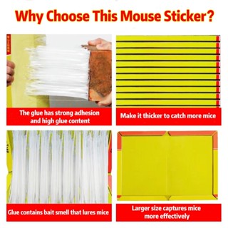 (Super Strong Adhesion) Mouse & Rat Trap Glue Board Sticky mouse board ...