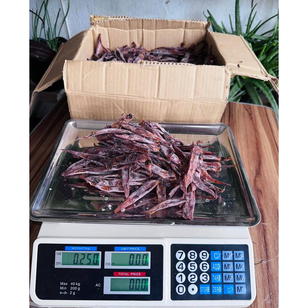 Dried Squid [Pusit Ballpen] Fresh from Coron Palawan | Shopee Philippines