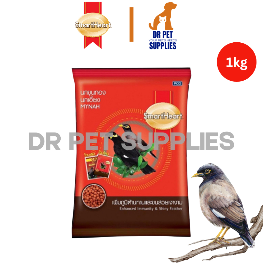 Smartheart smart heart Mynah Bird Food 1kg For Immunity & Shiny feather ...