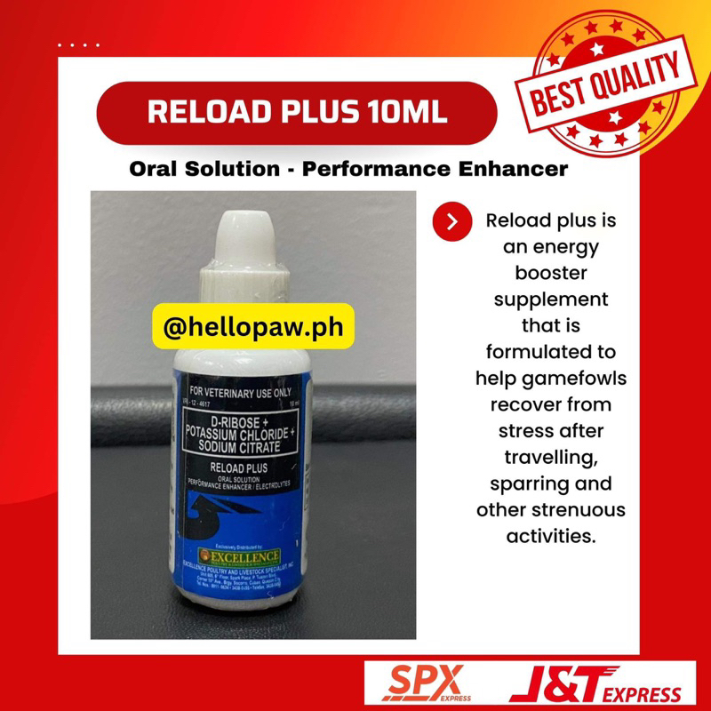 Reload Plus 10ml Oral Solution for PIGEONS(ACTUAL PHOTO) | Shopee ...